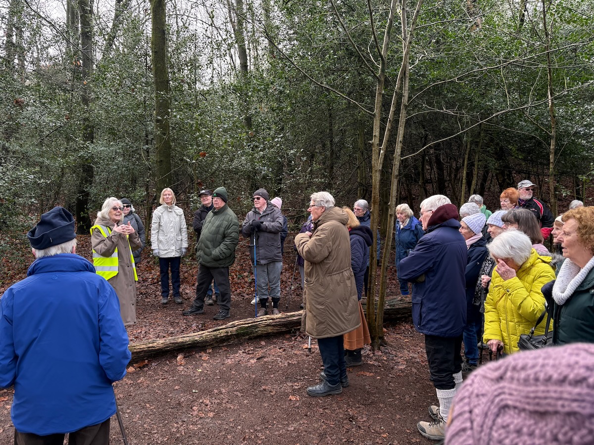 Rowhill Nature Reserve